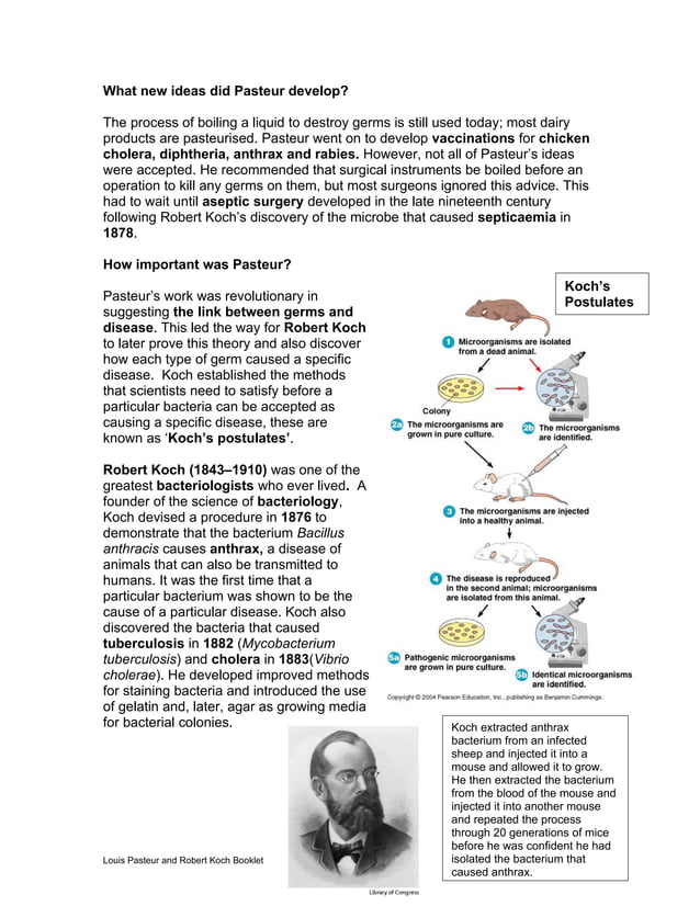 Louis Pasteur and Robert Koch booklet | DOC | Infectious Diseases ...