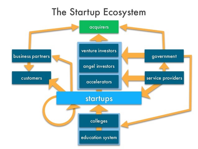 Building a Startup Ecosystem