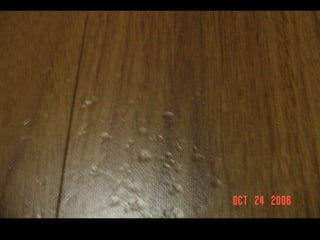 Indentations into wooden flooring. Case study Louis Vuitton | PPT