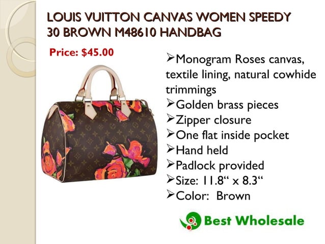 Louis vuitton handbag | PPT