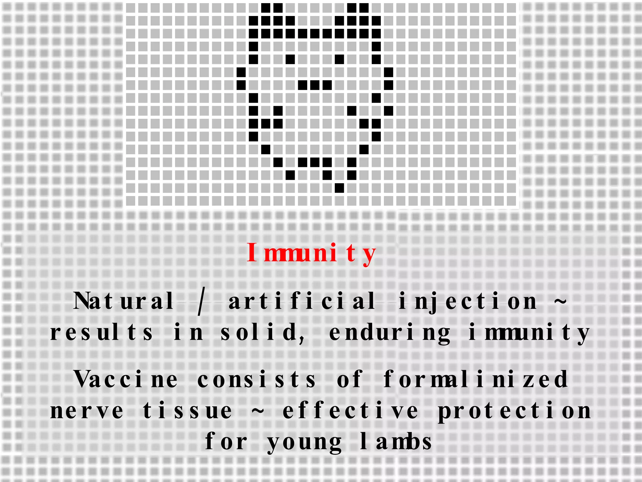 Louping Ill | PPT