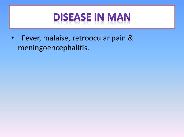 Louping ill | PPTX | Infectious Diseases | Diseases and Conditions