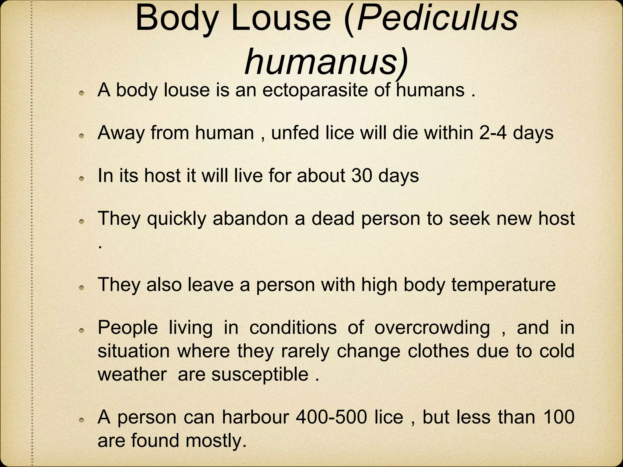 Louse and cyclops | PPTX