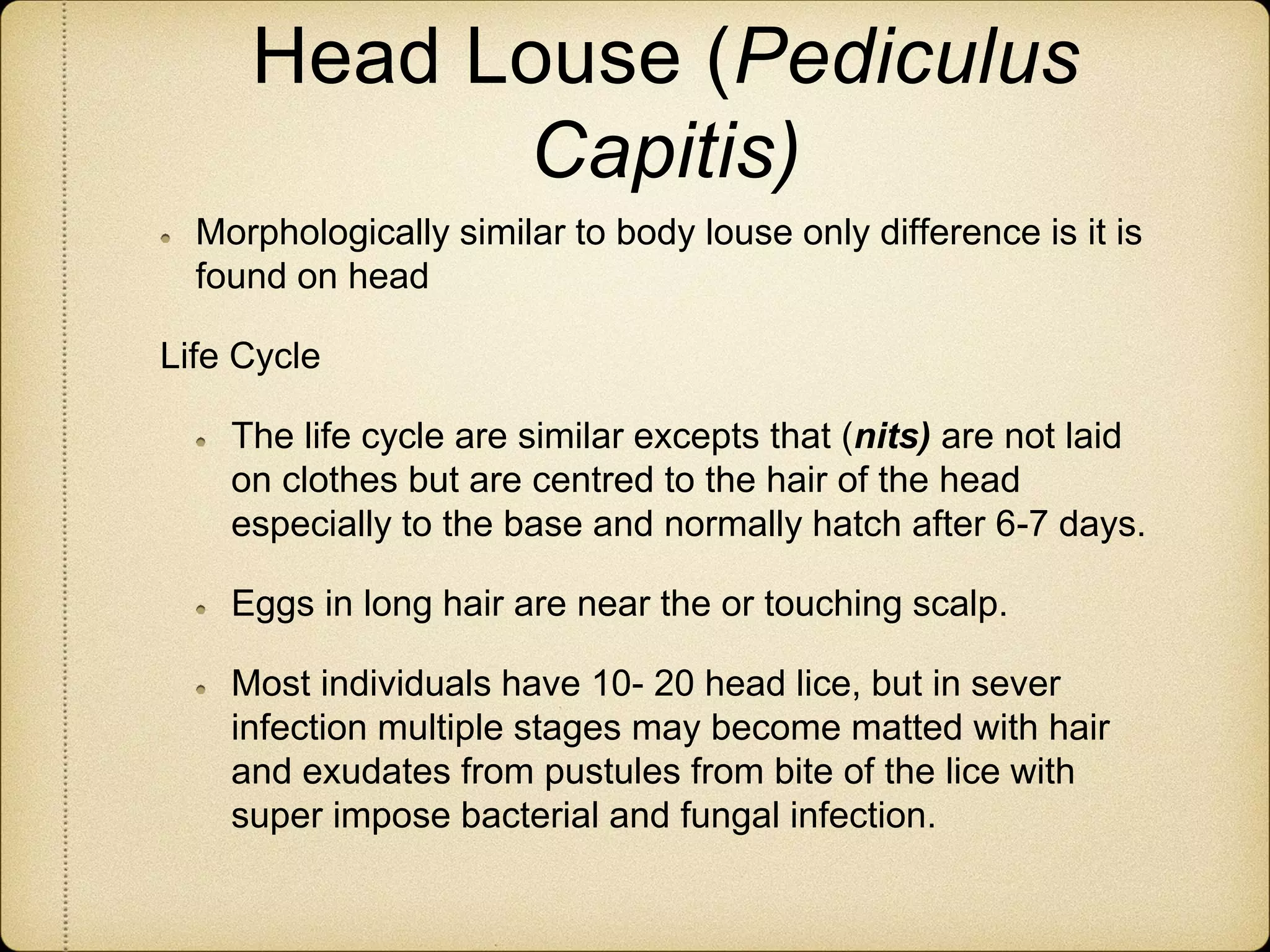 Louse and cyclops | PPTX | Infectious Diseases | Diseases and Conditions