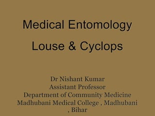 Louse and cyclops | PPTX