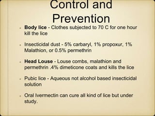 Louse and cyclops | PPTX