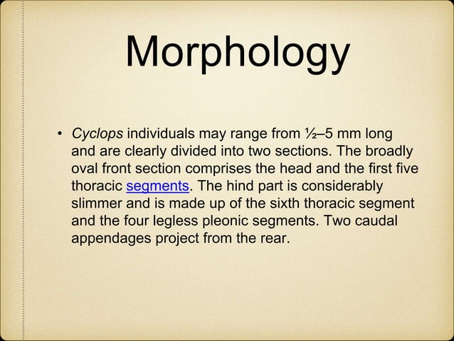 Louse and cyclops | PPTX | Infectious Diseases | Diseases and Conditions