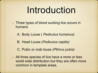 Louse and cyclops | PPTX