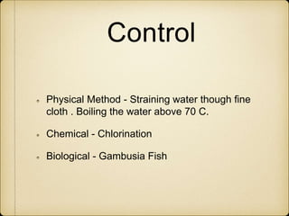 Louse and cyclops | PPTX