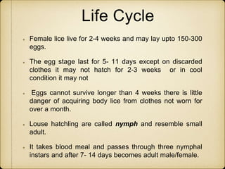 Louse and cyclops | PPTX | Infectious Diseases | Diseases and Conditions