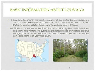 Lousiana | ODP | North America Travel | Travel Locations