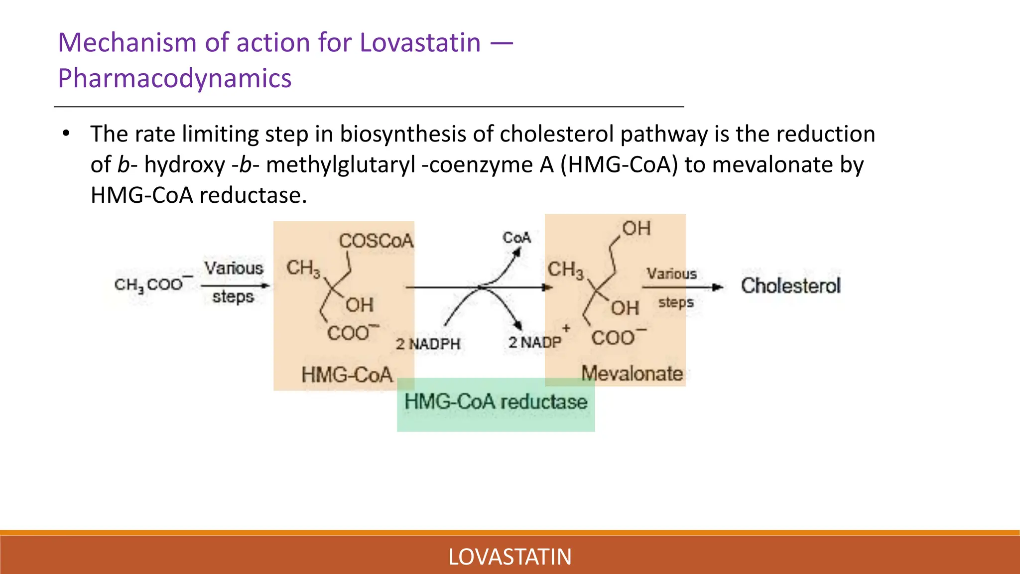 Lovastatin Medicinal Chemistry | PPTX