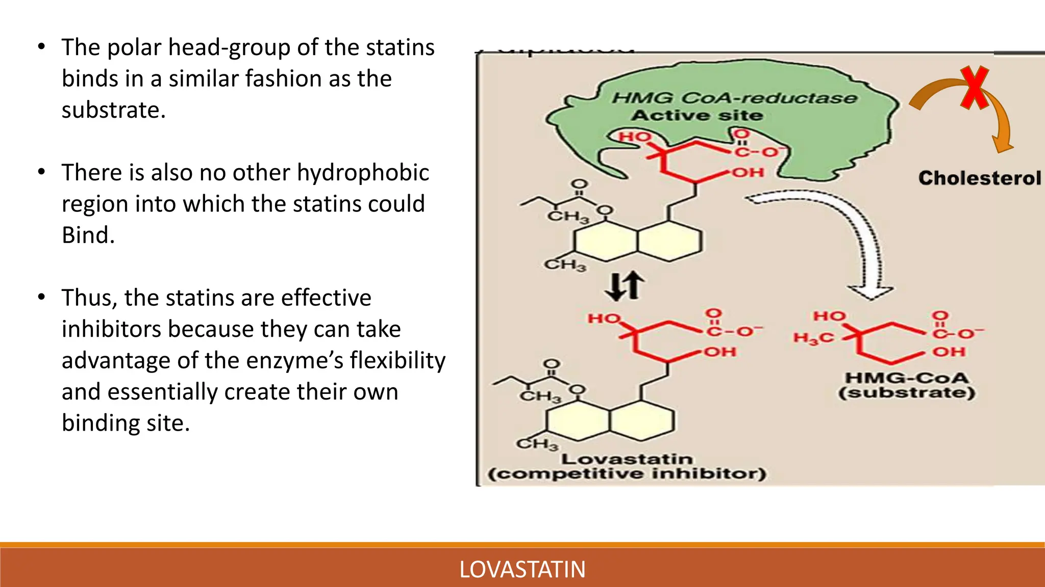 Lovastatin Medicinal Chemistry | PPTX