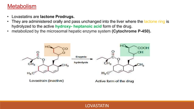 Lovastatin Medicinal Chemistry | PPTX | Heart and Cardiovascular ...