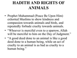 Love for Human being, Animal and Plant Life | PPTX