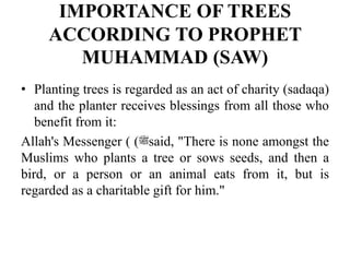 Love for Human being, Animal and Plant Life | PPTX