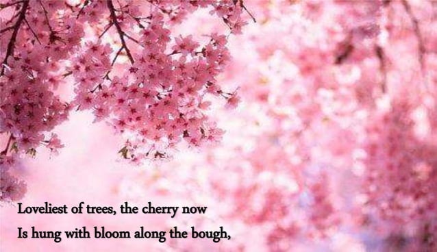 Loveliest of trees by A.E. Housman | PPT