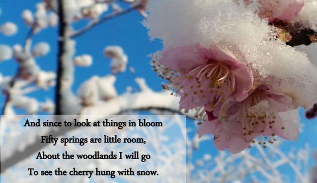 Loveliest of trees by A.E. Housman | PPT