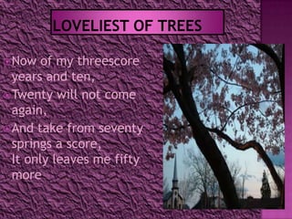 Loveliest of trees poem- Rabiya Khan | PPTX