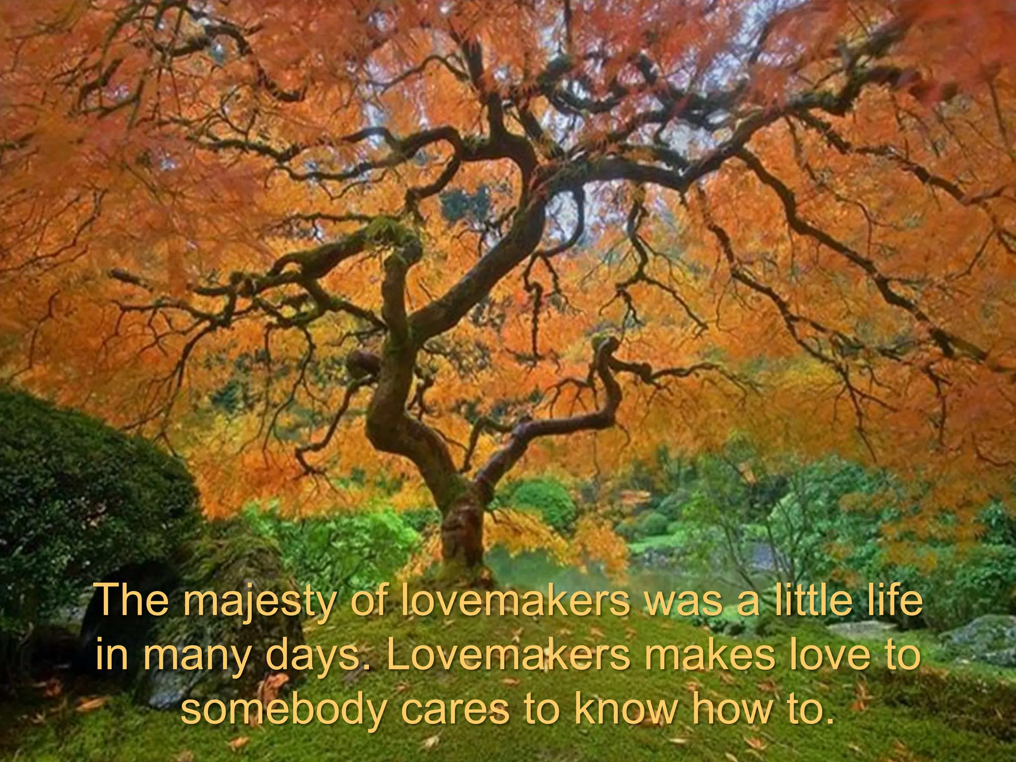 Lovemaker Slideshow by: Kal-el Marcus L. Go | PPTX