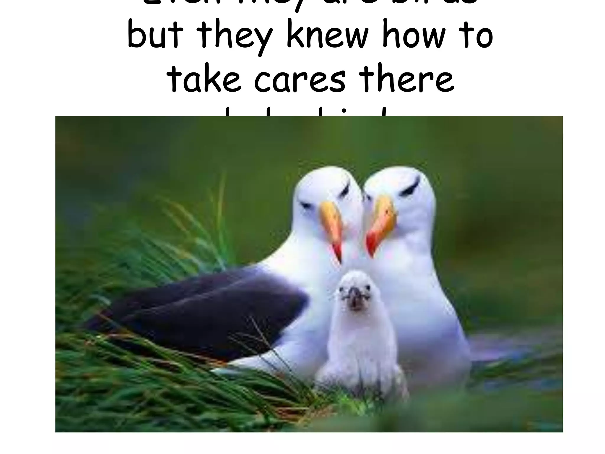 Love one another | PPTX | Parenting Children Aged 4-11 | Parenting