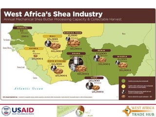 The Shea Industry in a Nutshell | PDF