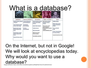 Love your library databases animals | PPT