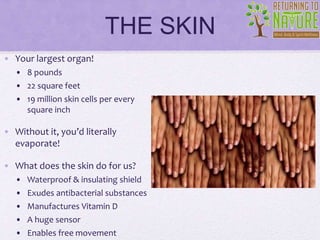 Loving the Skin You're in! | PPTX