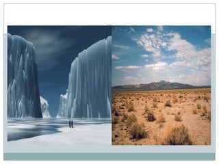 Low and high biodiversity | PPTX