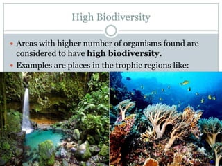 Low and high biodiversity | PPTX