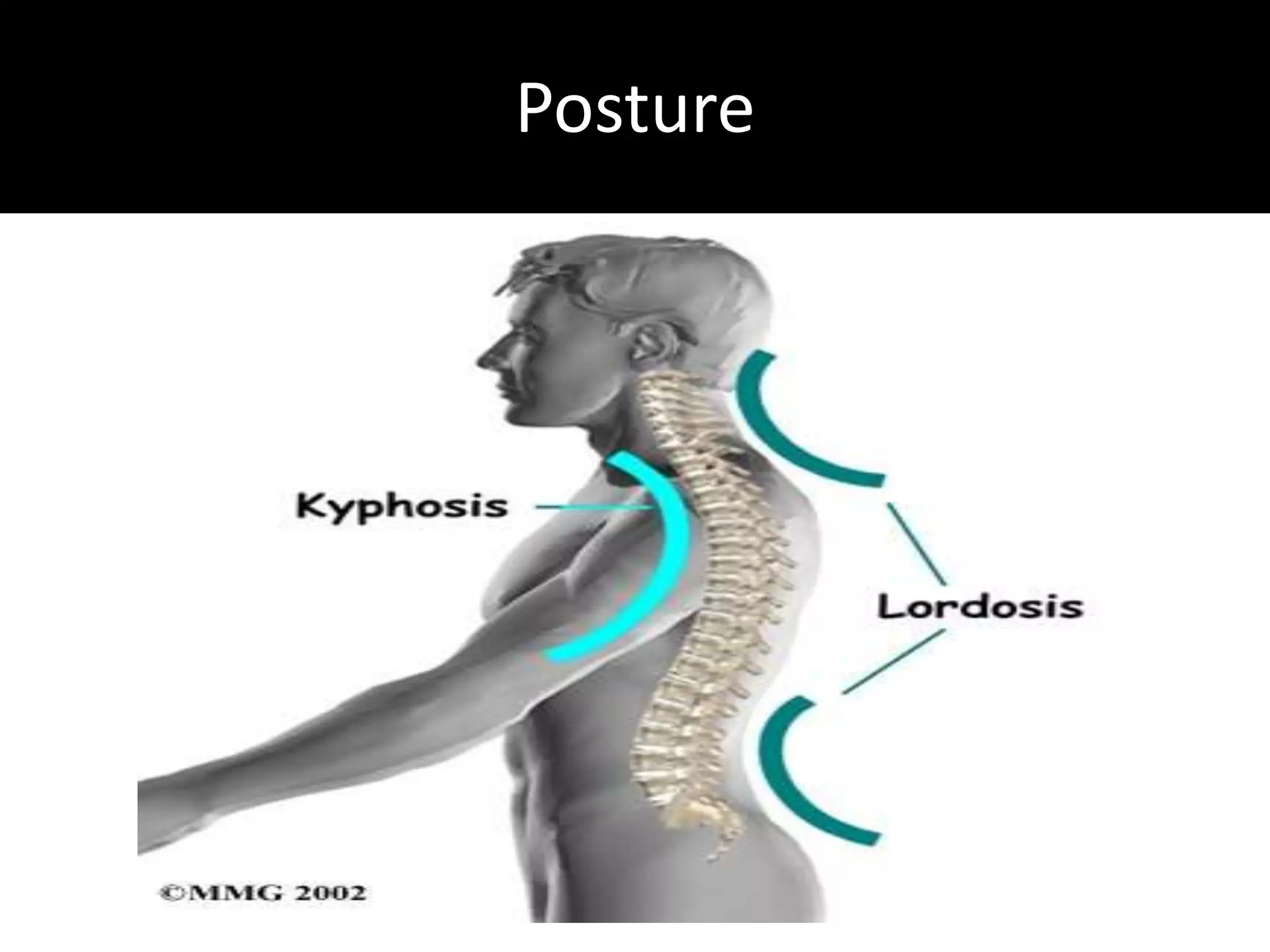 Low back dysfunction for acute and chronic injuries | PPT