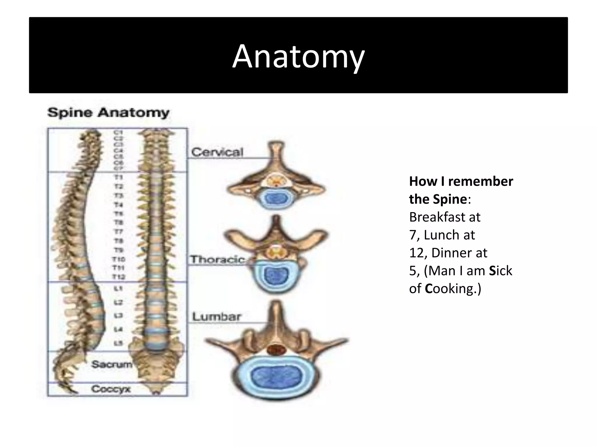 Low back dysfunction for acute and chronic injuries | PPT