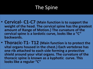 Low back dysfunction for acute and chronic injuries | PPT