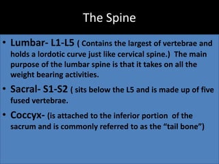 Low back dysfunction for acute and chronic injuries | PPT
