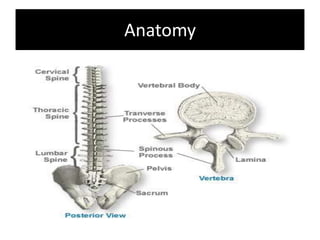 Low back dysfunction for acute and chronic injuries | PPT