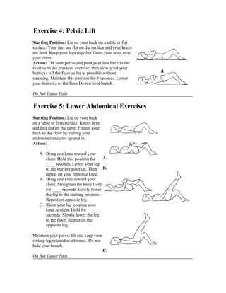 Low Back Exercise | PDF