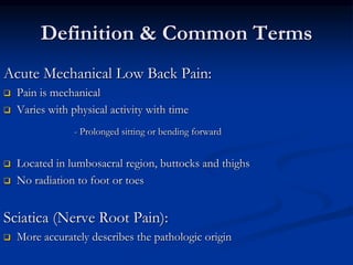 Lowback injuries | PPT