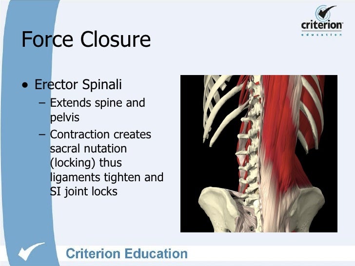 Sacroiliac Joint Force And Form Closure Sacroiliac Joint The