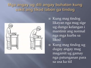 Low back pain | PPTX