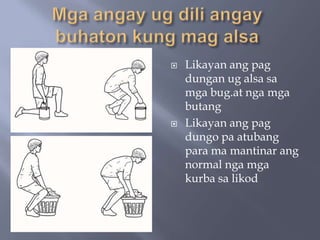 Low back pain | PPTX