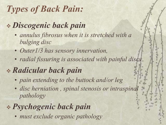 Low back pain | PPT | Physical Therapy | Wellness