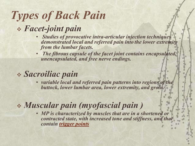 Low back pain | PPT | Physical Therapy | Wellness