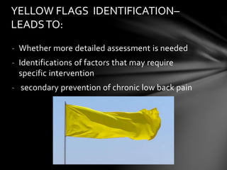 Low back pain | PPTX