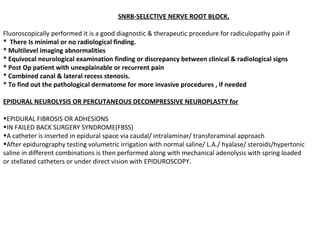 Low back pain | PPT | Physical Therapy | Wellness