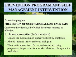 Low back pain | PPTX