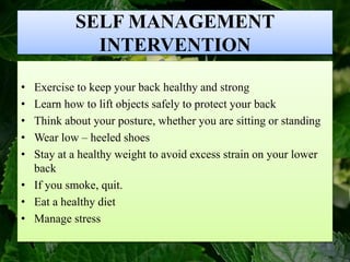 Low back pain | PPTX