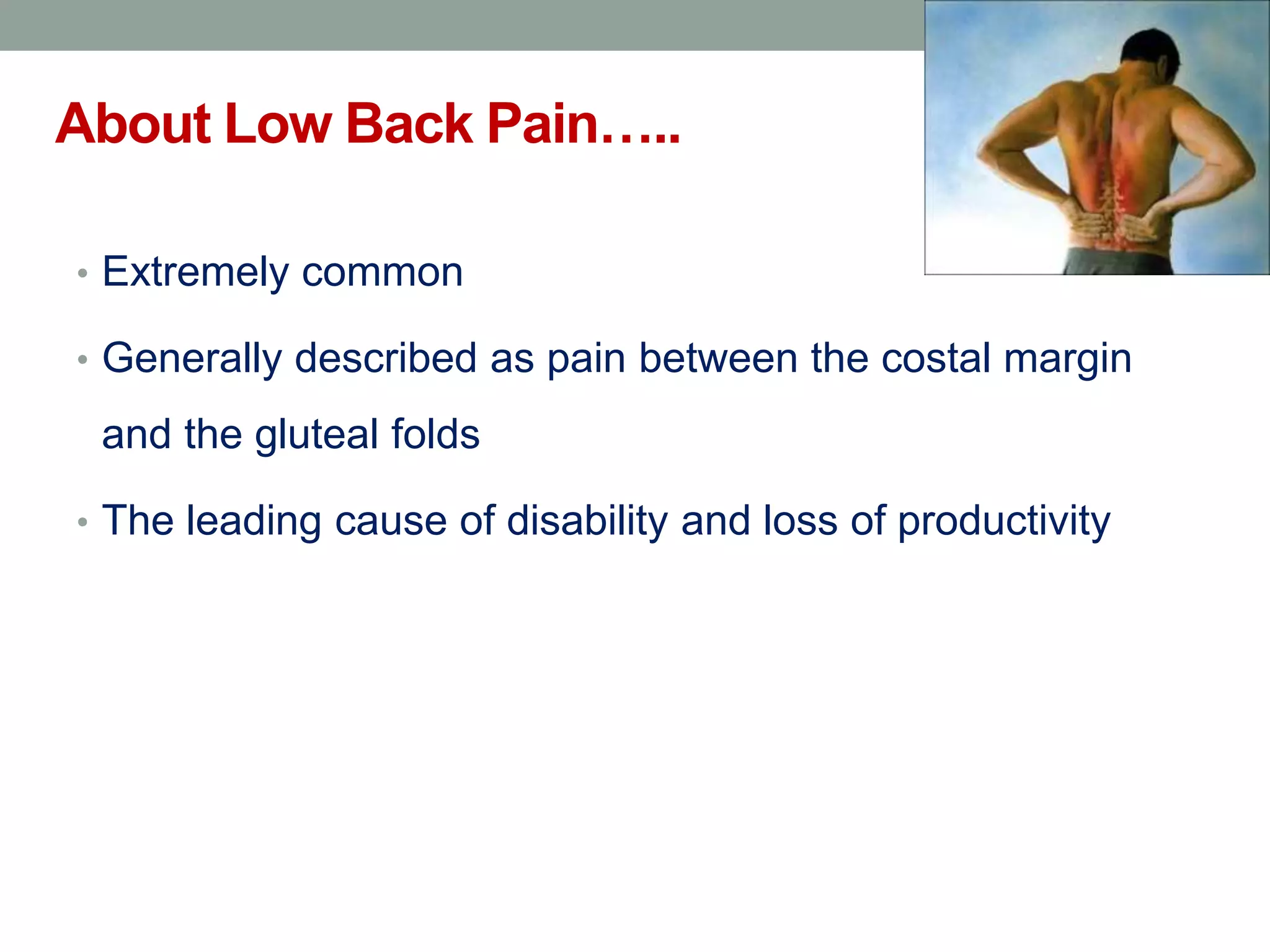 LOW BACK PAIN.PPT