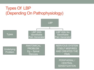 LOW BACK PAIN.PPT