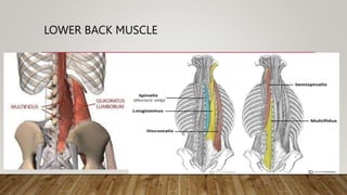 LOW_BACK_PAIN.pptx