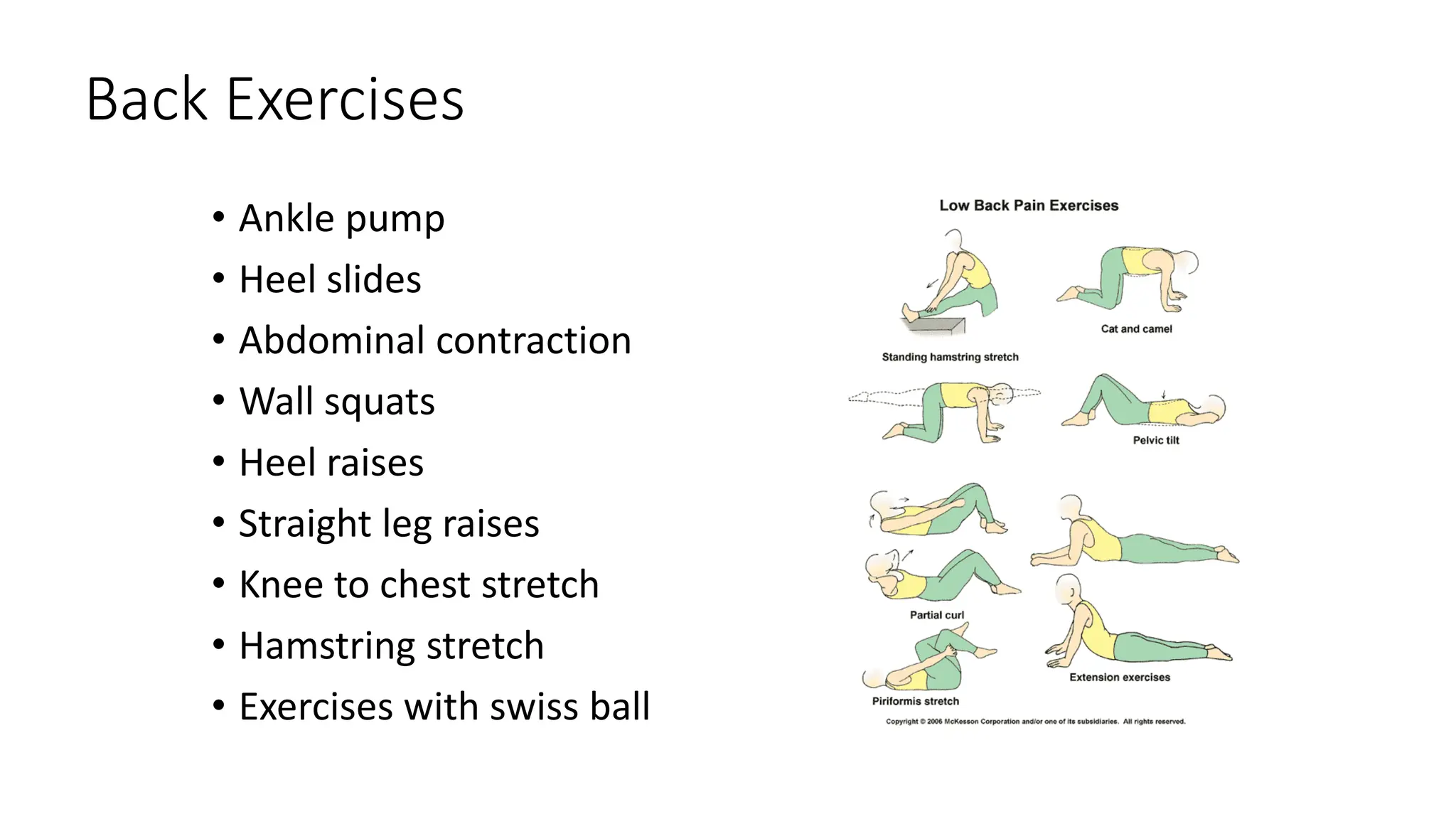 Low_back_pain__overview in orthopaedics. | PPTX